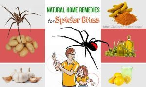 28 Simple Home Remedies For Spider Bites On Face, Neck, Arm