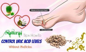 20 Tips How To Control Uric Acid Levels Without Medicine